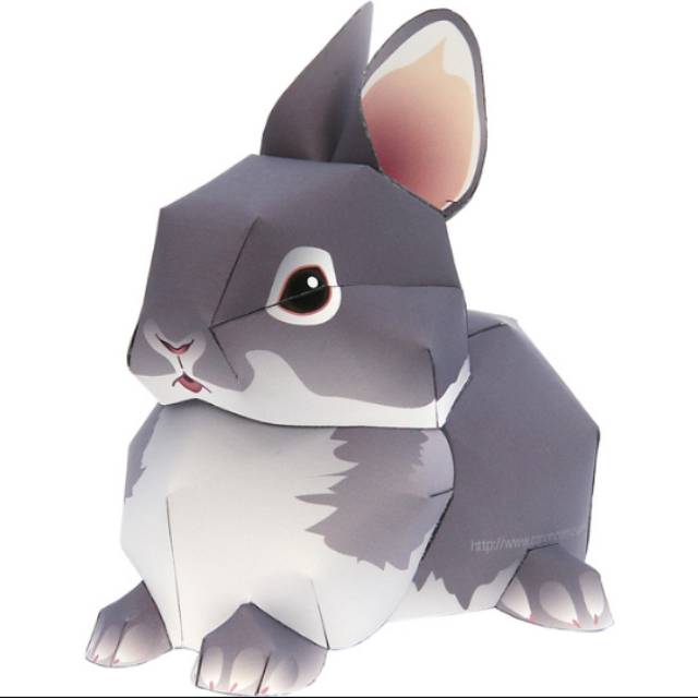 Jual Netherland Dwarf Rabbit Papercraft | Shopee Indonesia