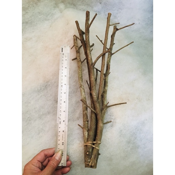 Jual 040 || Ranting kayu kering || Dry wooden twigs | Shopee Indonesia