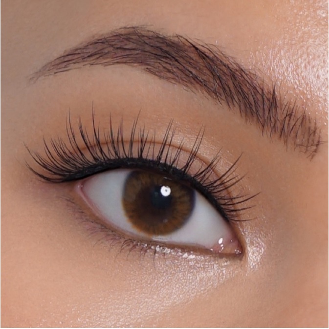 Jual 1864 Famous eyelashes F1864 (upper eyelashes / bulu mata atas ...