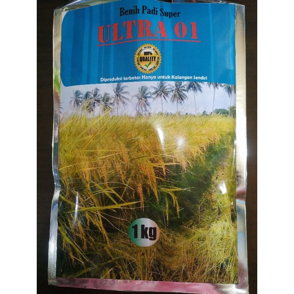 Jual Benih padi Ultra 01 kualitas premium 1 kg | Shopee Indonesia