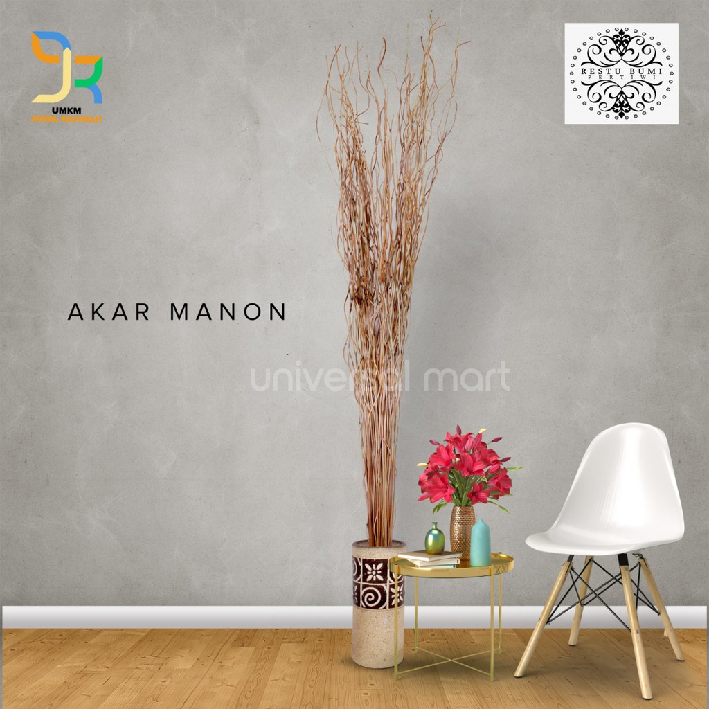 Jual Ranting Kering - Akar Manon - Dekorasi Pesta - 50 Batang | Shopee ...