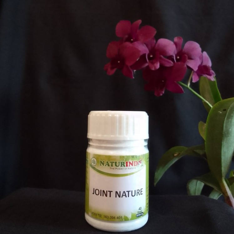 Jual Joint Nature Naturindo (Spesial Pengapuran) | Shopee Indonesia