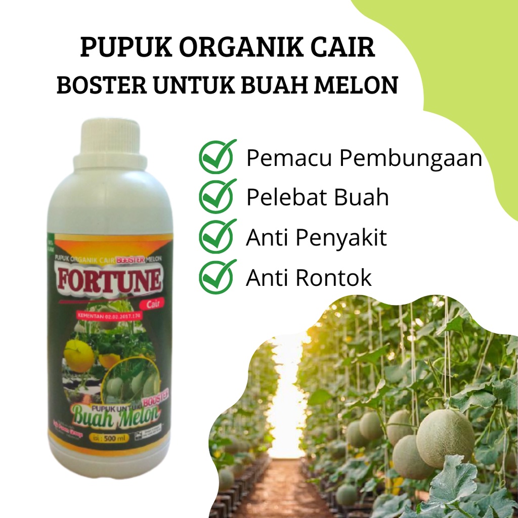 Jual Pupuk Boster Cair Buah Melon Pupuk Organik Cair 500 Ml Pupuk Buah Melon Golden, Pupuk ...