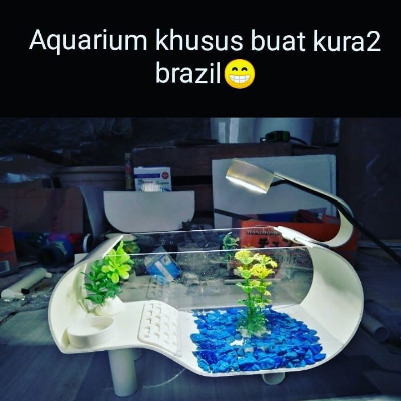 Jual aquarium mini acrilik pipa pvc ikan hias dan kura kura brazil ...