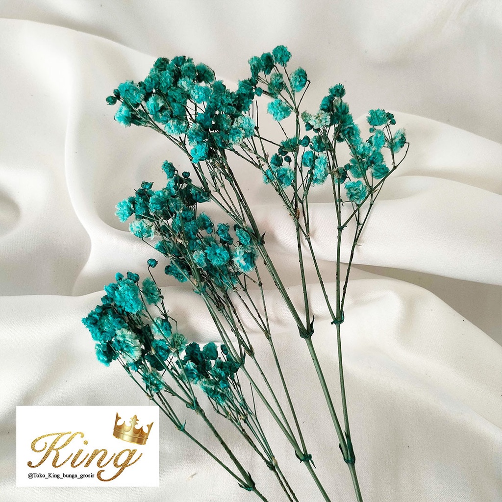 Jual Dried Flower Preserved Real Touch Premium Baby's Breath Gypsophila ...
