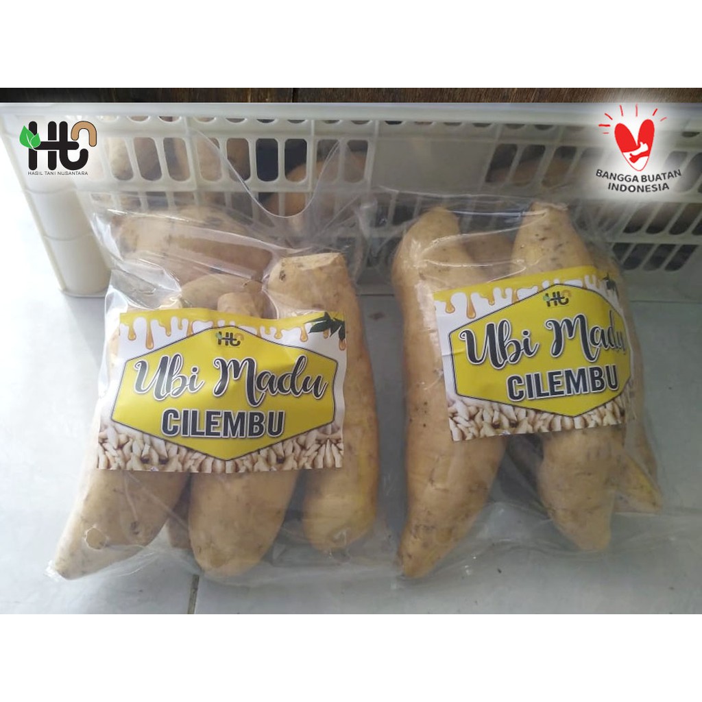 Jual Ubi madu cilembu sweet potato mentah kemasan dari petani | Shopee ...
