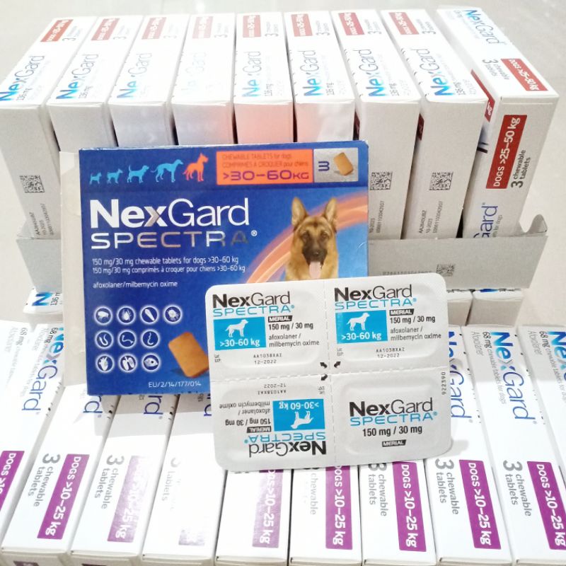 Jual Nexgard Spectra OBAT KUTU Dan DEMODEX Anjing (30 - 60kg) 1BOX ...