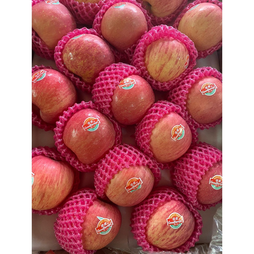 Jual APEL FUJI 500GR BANDUNG | BUAH SEGAR | WARUNG CEU ENGKAY | Shopee ...