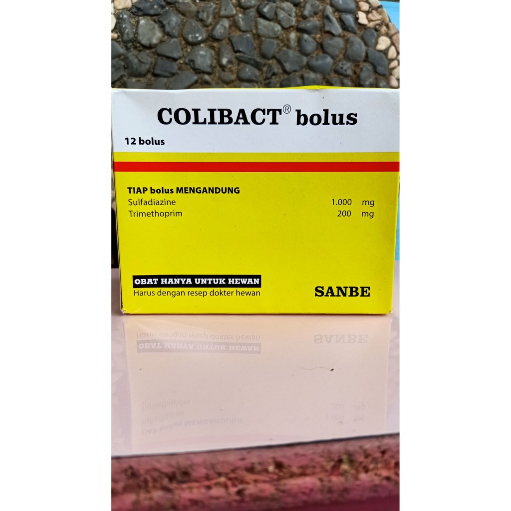 Jual Colibact Bolus harga per bolus | Shopee Indonesia