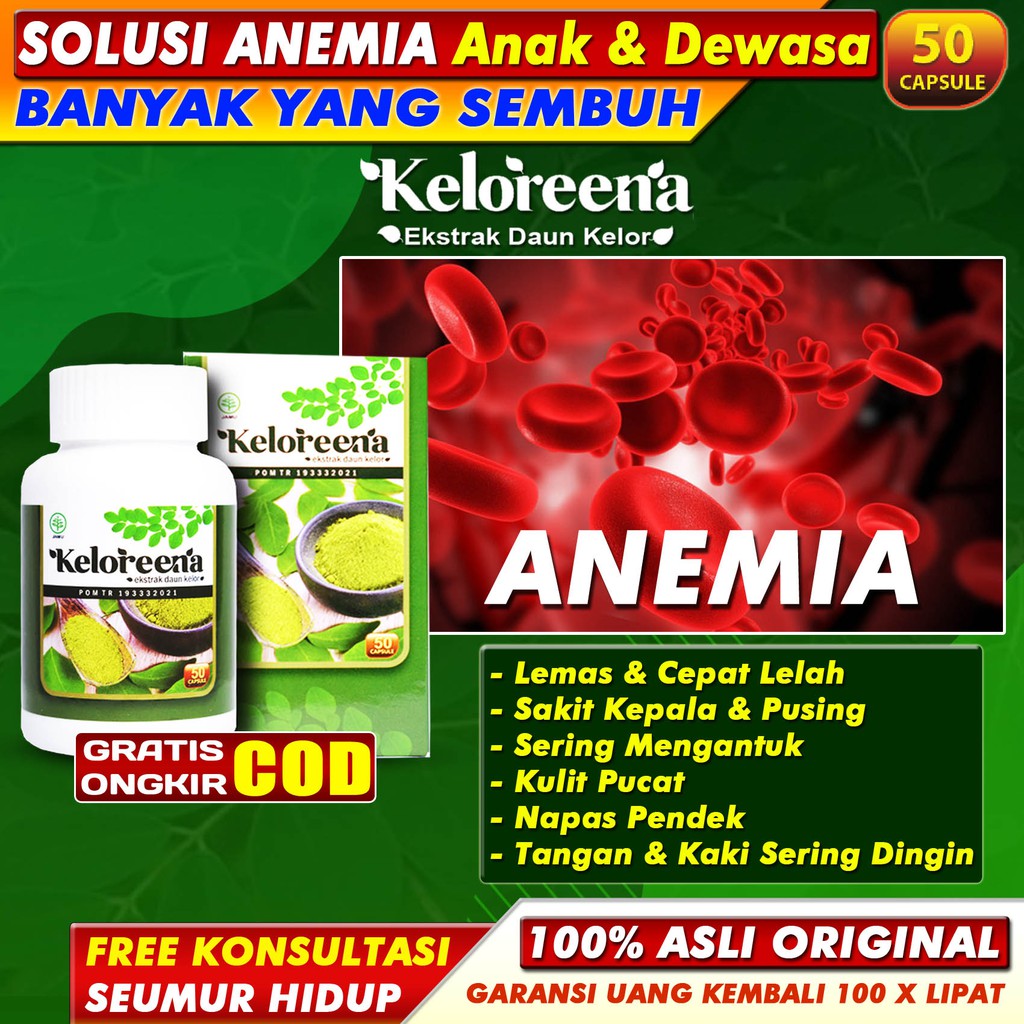 Jual Obat Anemia Kurang Sel Darah Merah / Zat Besi Untuk Anak & Dewasa ...