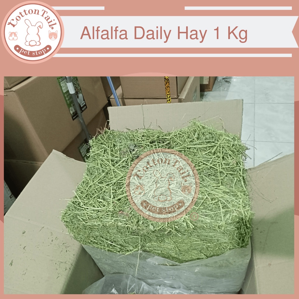Jual Makanan Kelinci Rumput Alfalfa Daily Hay 100% Organic 1Kg | Shopee ...