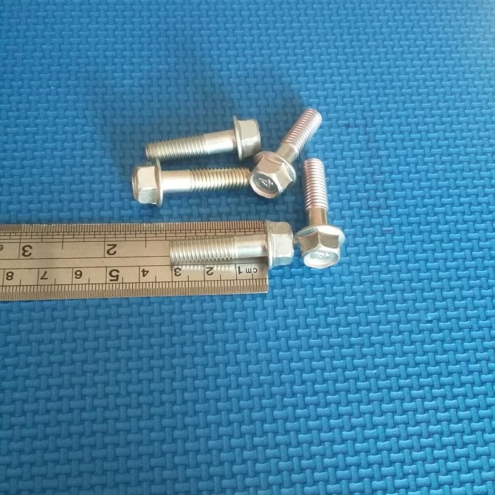 Jual Baut Topi/Baut Flange 12/8mmx3cm | Shopee Indonesia