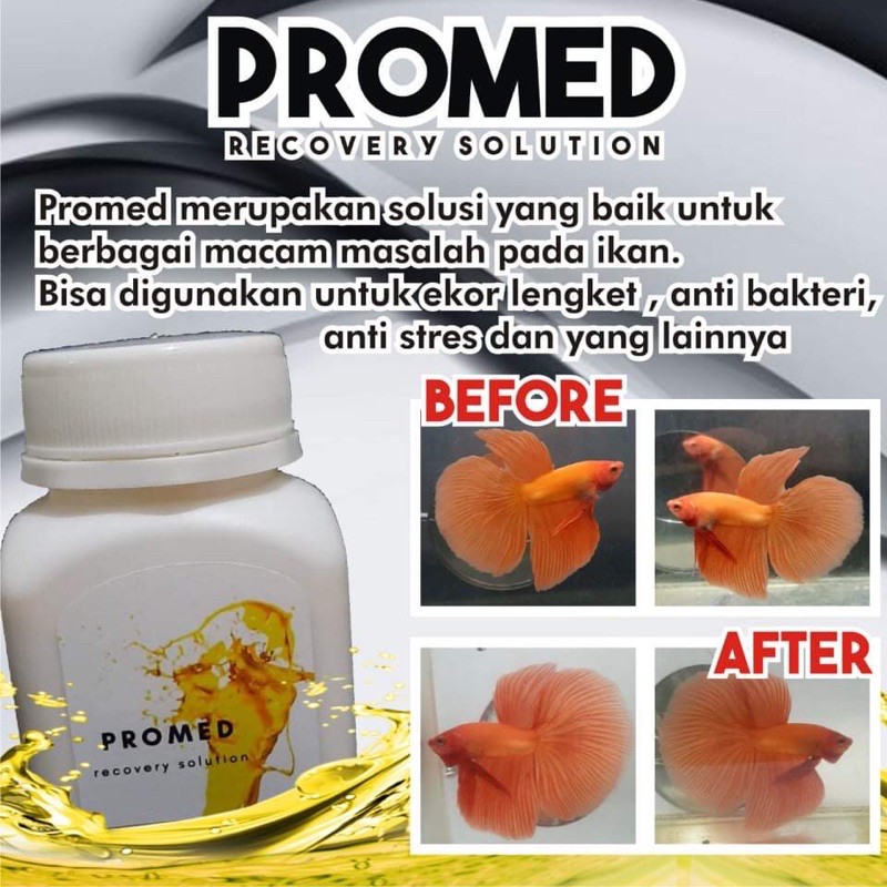 Jual PROMED - Obat Kuning dan Vitamin Ikan Yellow Powder | Shopee Indonesia