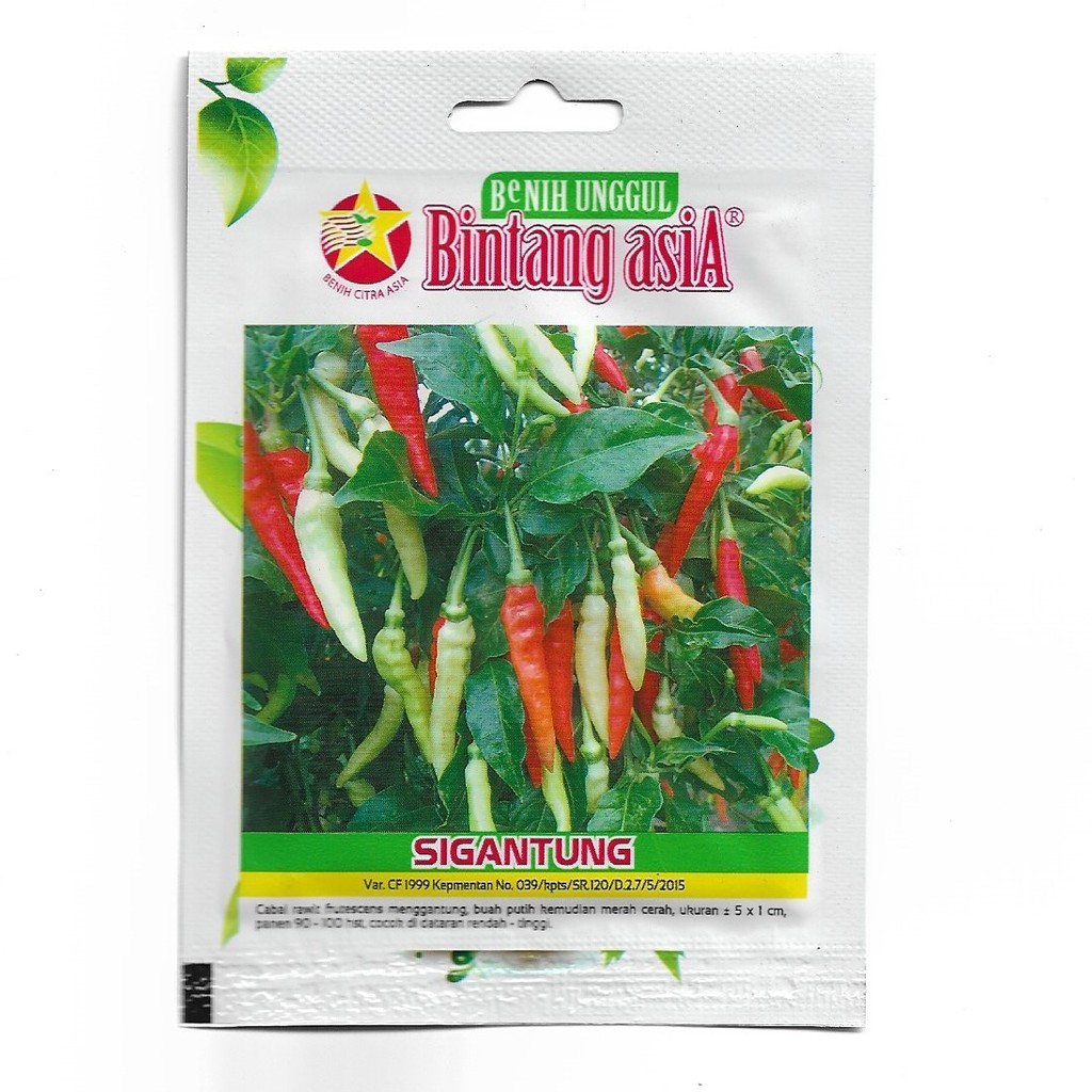 Jual Benih Biji Cabai Rawit Setan Putih Si Gantung Bintang Asia small ...