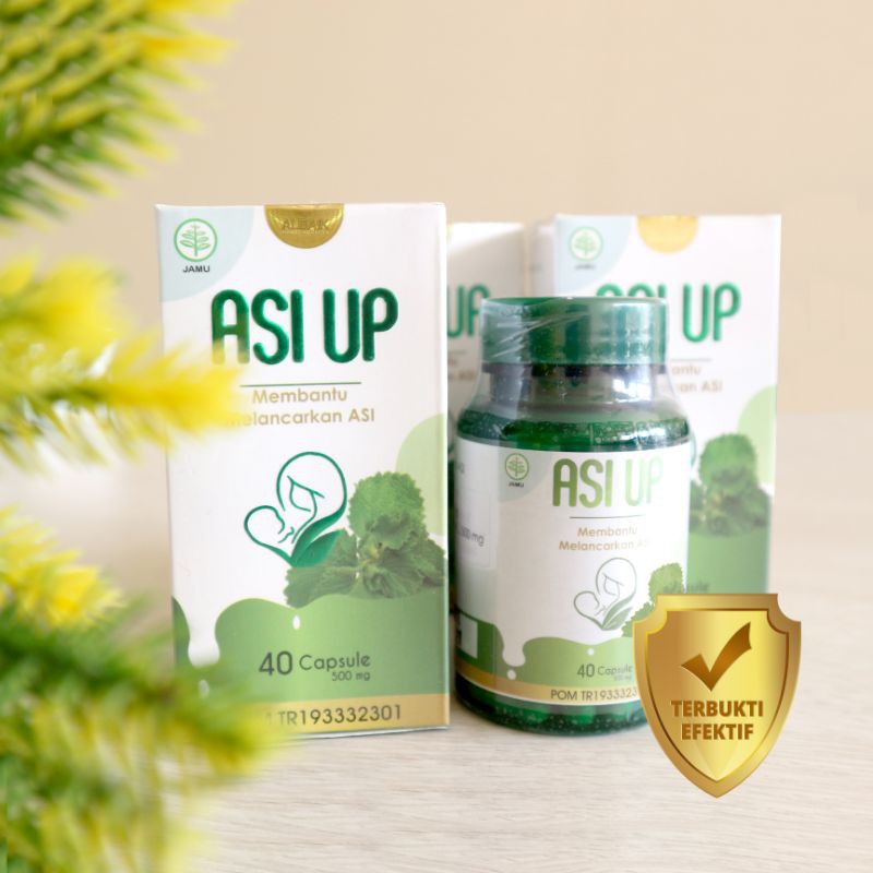 Jual paket 2pcs ASI UP asi booster torbangun herbal | Shopee Indonesia