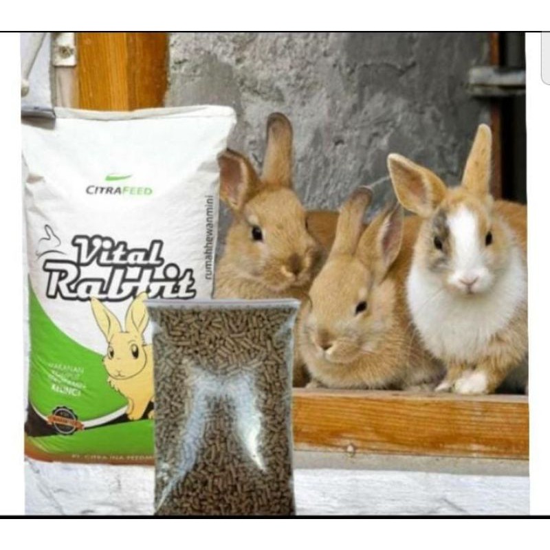 Jual vital rabbit / pakan makanan kelinci 1kg | Shopee Indonesia