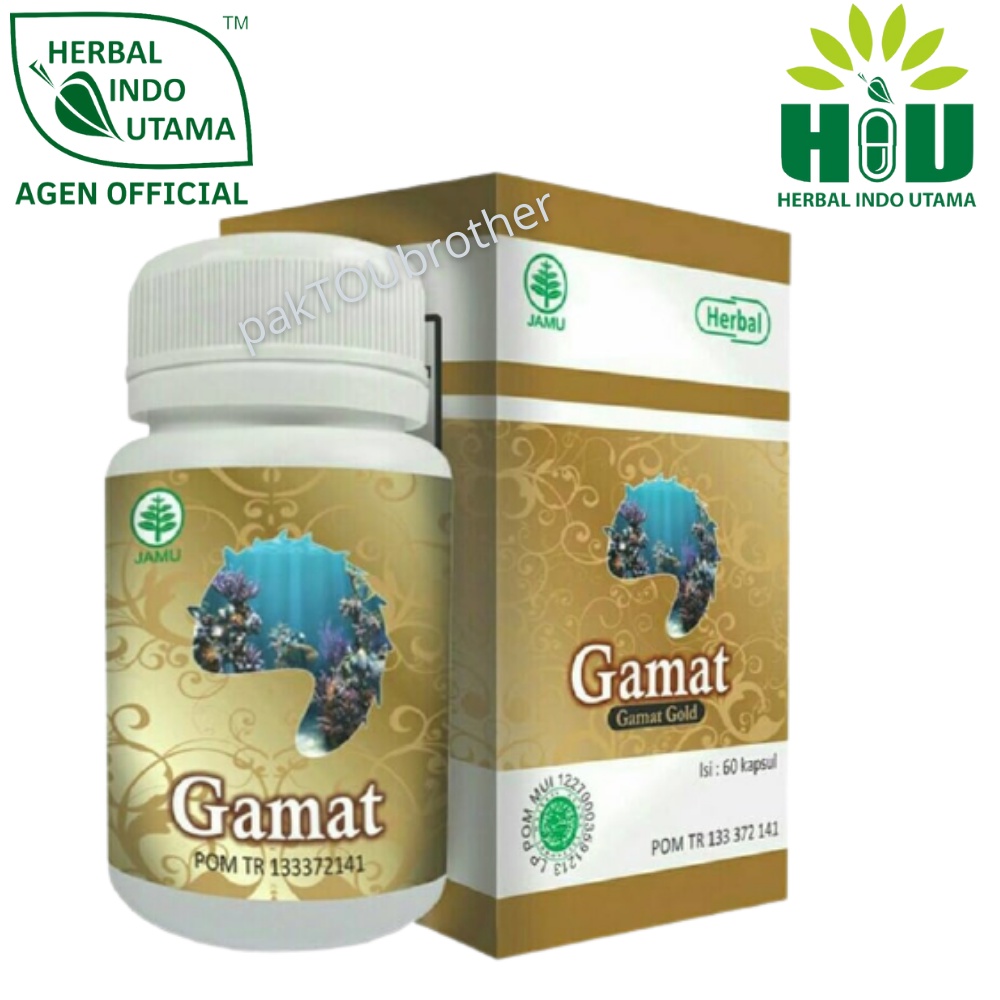 Jual Gamat Gold Original Kapsul Obat Luka Diabetes Agar Cepat Kering ...