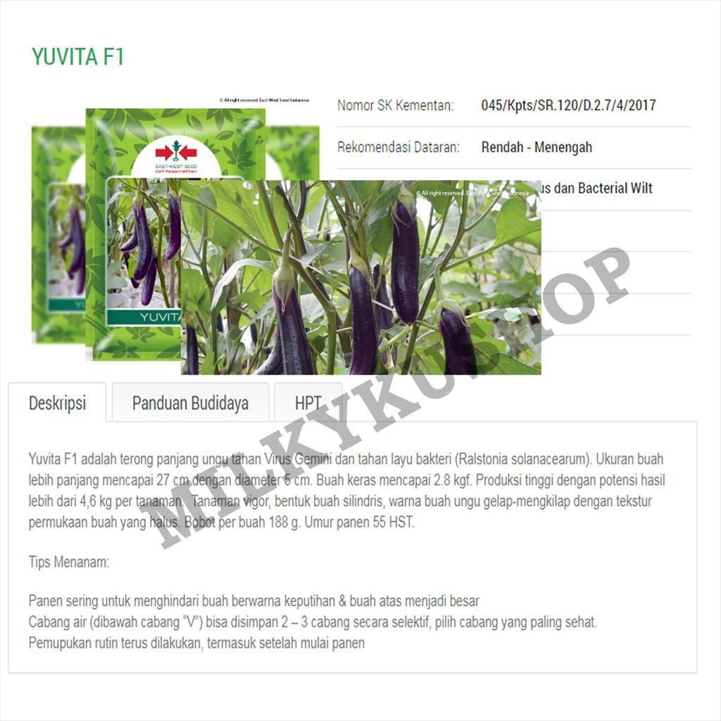 Jual BENIH PANAH MERAH TERONG YUVITA F1 1100 BUTIR SACHET KEMASAN PABRIK Best Seller | Shopee ...