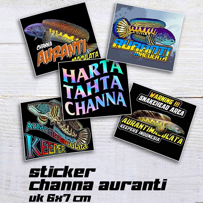 Jual Sticker Channa Auranti Stiker Tempelan Akuarium Chana Auranti ...