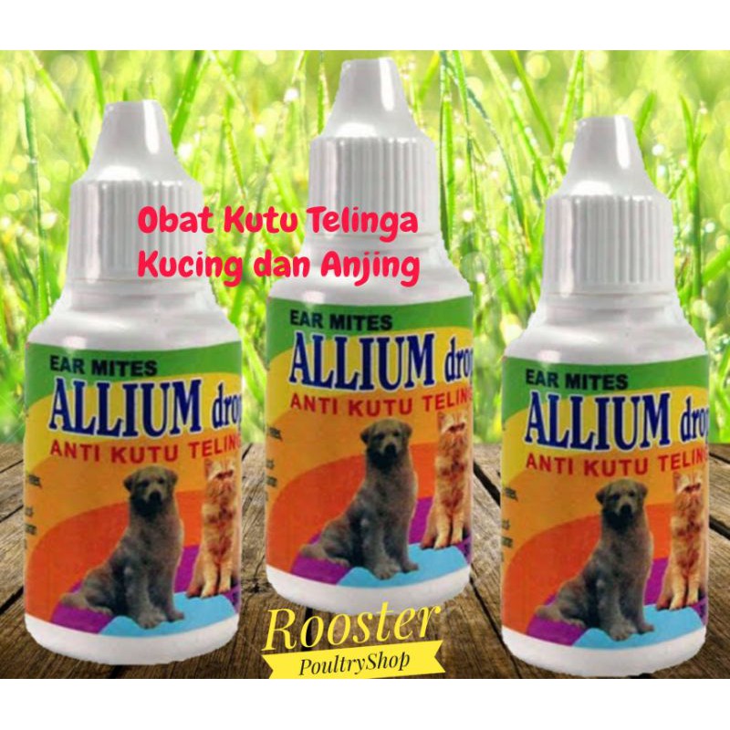Jual Obat Kutu Telinga Kuping Kucing dan Anjing ALLIUM DROP 30 ml ...