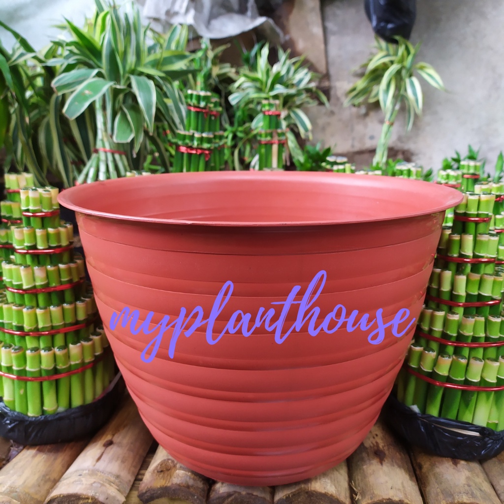 Jual Pot Tawon 30 Merah Bata | Pot Plastik Model Tawon | Pot Tanaman ...