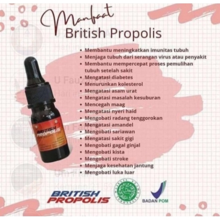 Jual British Propolis ORIGINAL | Shopee Indonesia