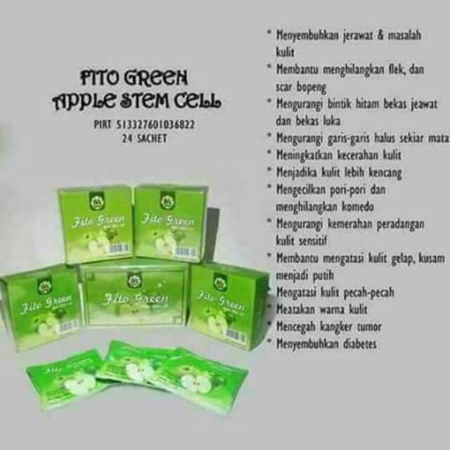 Jual FITO GREEN (mini box/3 sachet) | Shopee Indonesia