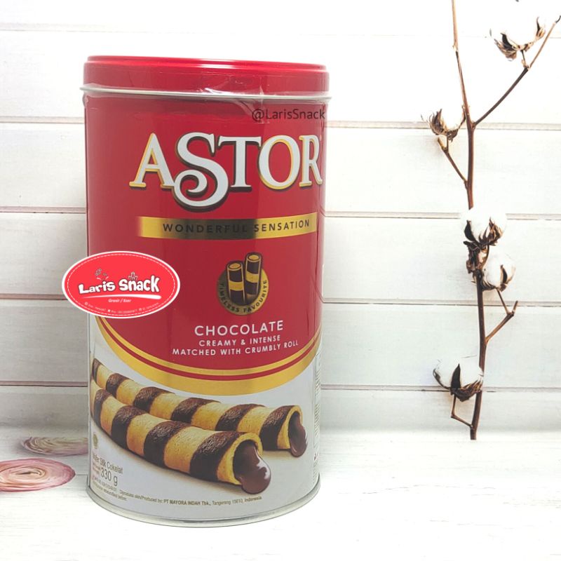 Jual Astor Double Chocolate Kaleng 330gr Snack Wafer Stick Coklat ...