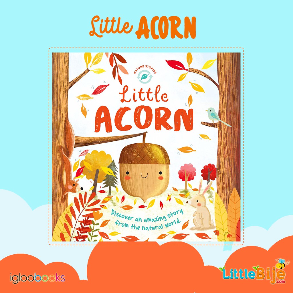 Jual Little Acorn Story Book | Shopee Indonesia