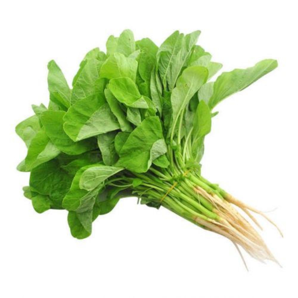 Jual Bibit Benih Biji Sayur Bayam Hijau Grow Your Own Organic Vegetable ...