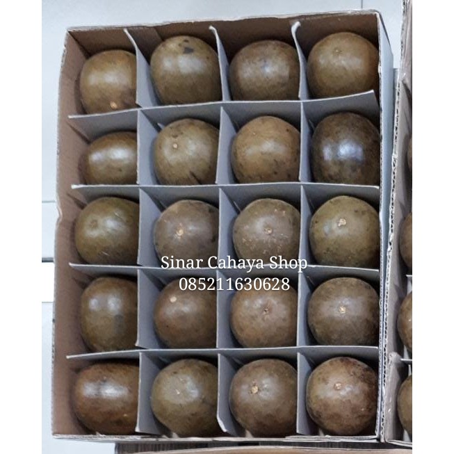 Jual Buah Lo Han Kuo (Lou Han Guo) Kecil 1 kotak is 20 pcs | Shopee ...