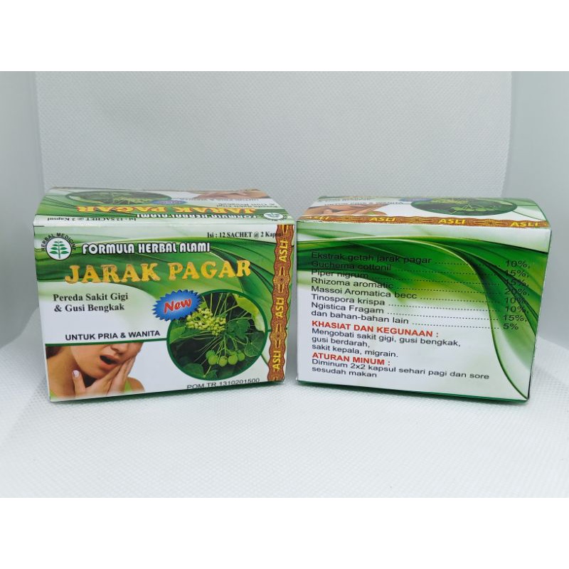 Jual Jarak Pagar Obat Sakit Gigi Original | Shopee Indonesia