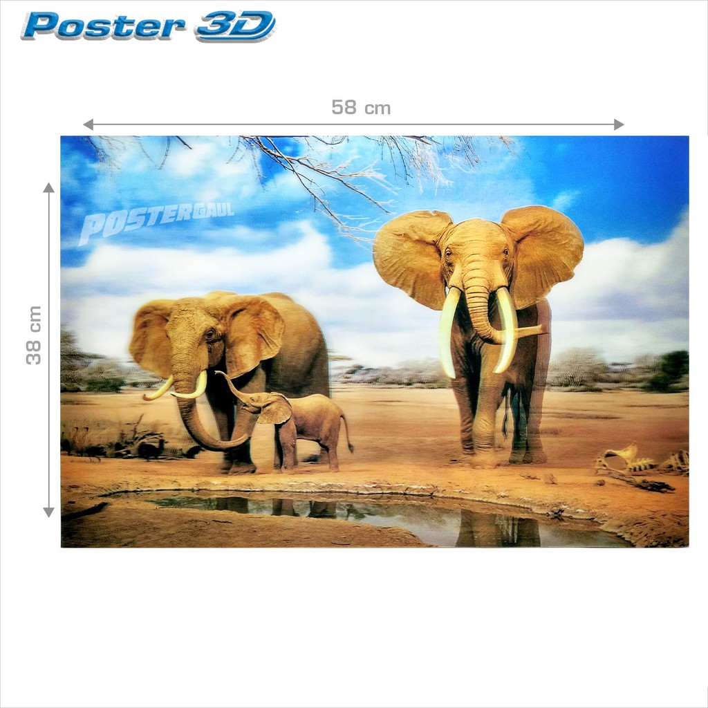 Jual Poster 3D SATWA: GAJAH AFRIKA #3D196 - ukuran 38 x 58 cm | Shopee ...