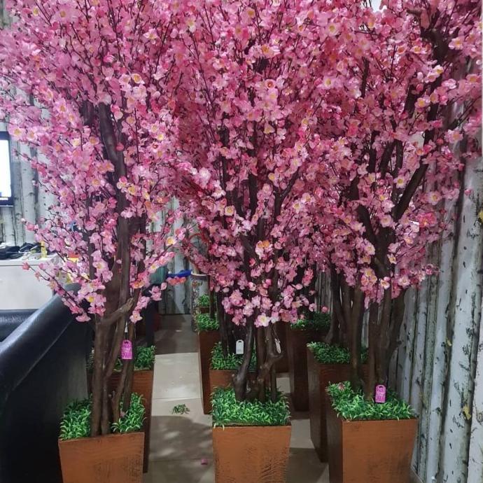 Jual Pohon Meihwa Imlek Tinggi 180 cm Dekorasi Pohon Imlek Merah Murah ...