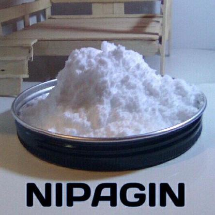 Jual Methyl Parabean / Nipagin 100gr | Shopee Indonesia