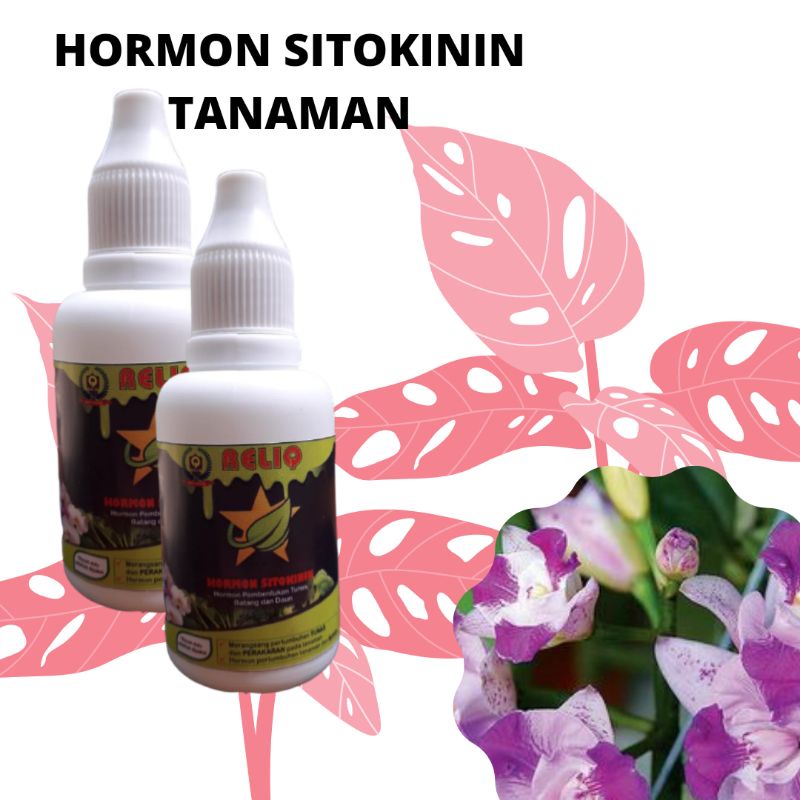 Jual Reliq Hormon Sitokinin 30ml,Merangsang pertumbuhan TUNAS dan ...