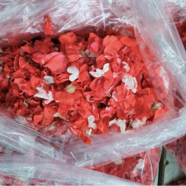 Jual Bunga Tabur Makam Untuk Pemakaman Ziarah Asli Fresh | Shopee Indonesia