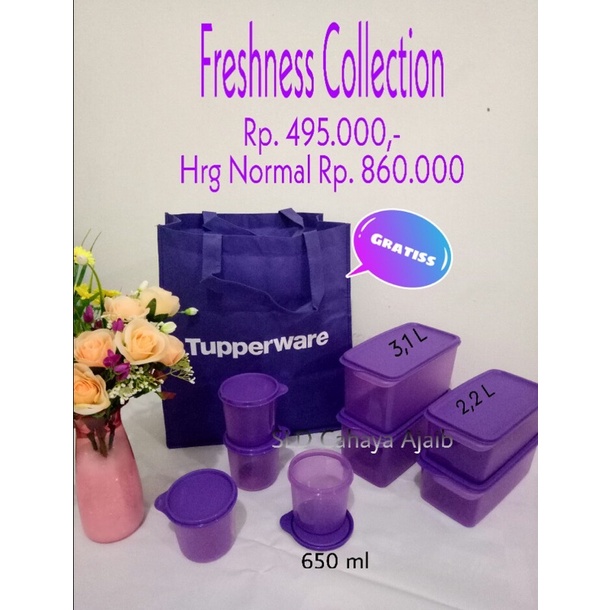 Jual Tupperware set ungu | Shopee Indonesia