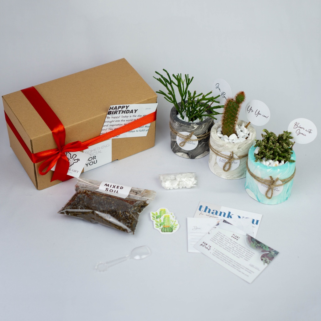 Jual Trio Medium | Gift Box Set Cowok/Cewek Kado Hampers Souvenirs ...