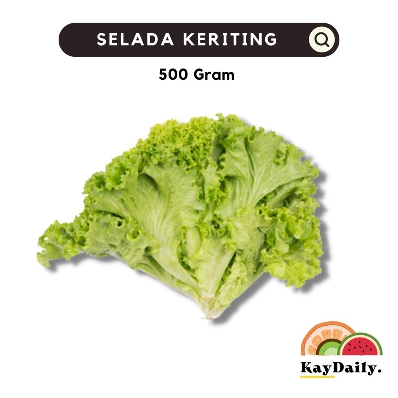 Jual SELADA KERITING SLADA KRITING | Shopee Indonesia