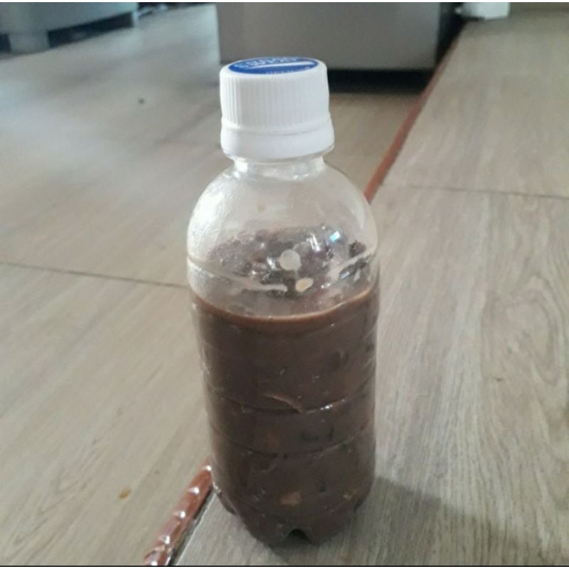 Jual rusip bangka | Shopee Indonesia