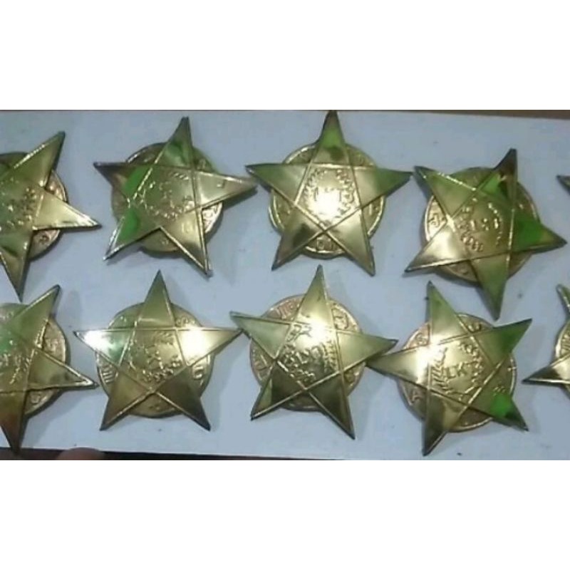 Jual pin bintang LKT pelaut pelayaran | Shopee Indonesia
