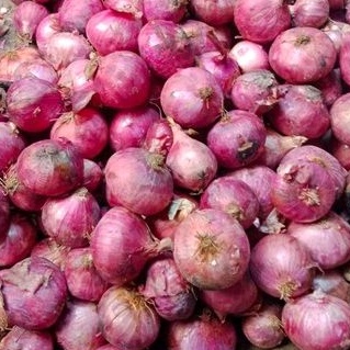 Jual BAWANG MERAH PEKING 500gr ( BAWANG INDIA ) | Shopee Indonesia