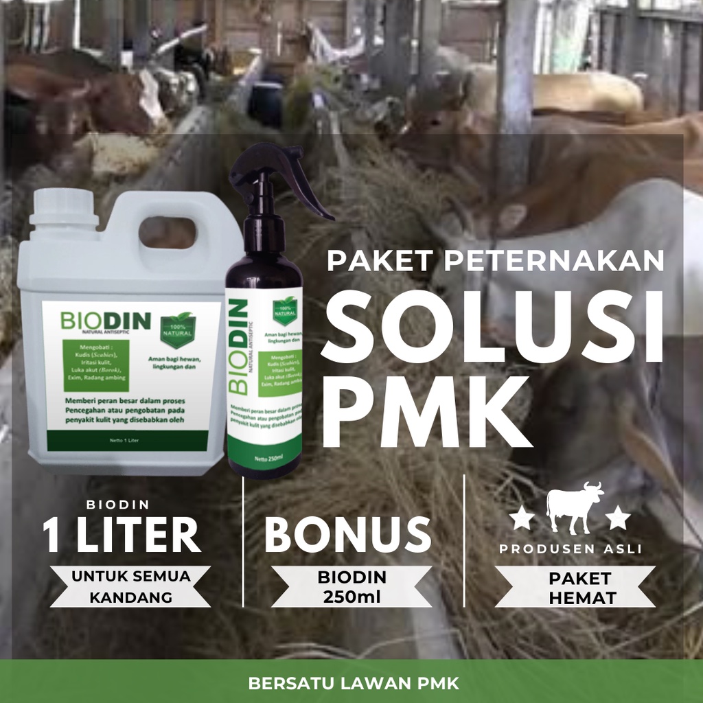 Jual PAKET PETERNAKAN OBAT PMK PADA SAPI (FOOD GRADE) AMAN JIKA ...
