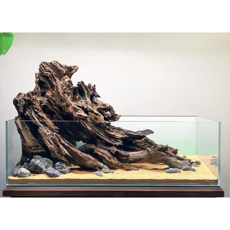 Jual Kayu Rentek Aquascape Paludarium Size XL | Shopee Indonesia