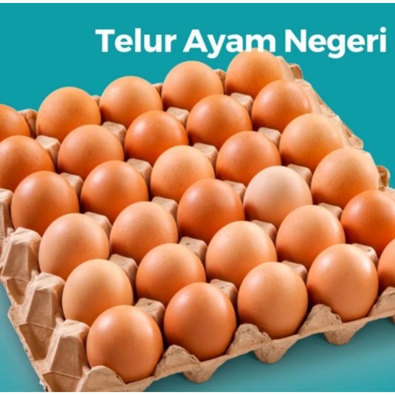 Jual Telur Ayam Negeri | Shopee Indonesia