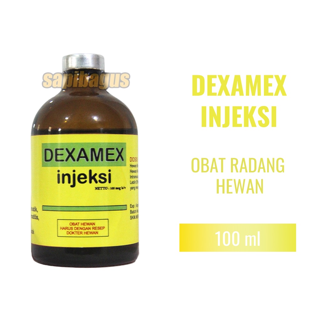Jual Dexamex 100 ml - Obat Peradangan inj - Sapibagus | Shopee Indonesia
