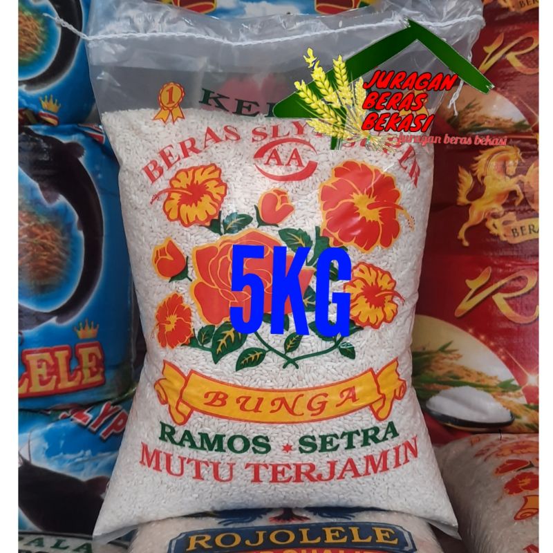 Jual BERAS KETAN PUTIH SUPER PREMIUM 5KG,10KG,20KG | Shopee Indonesia