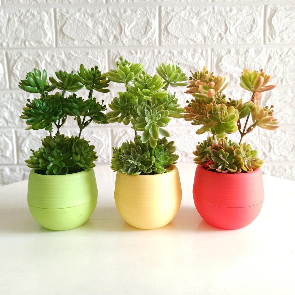 Jual Pot Mini Bunga Kaktus Artificial Dekor Kamar Rumah Meja Kantor ...