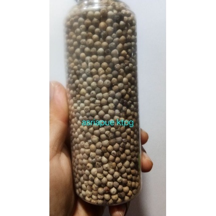 Jual Lada sahang biji fresh perbotol | Shopee Indonesia